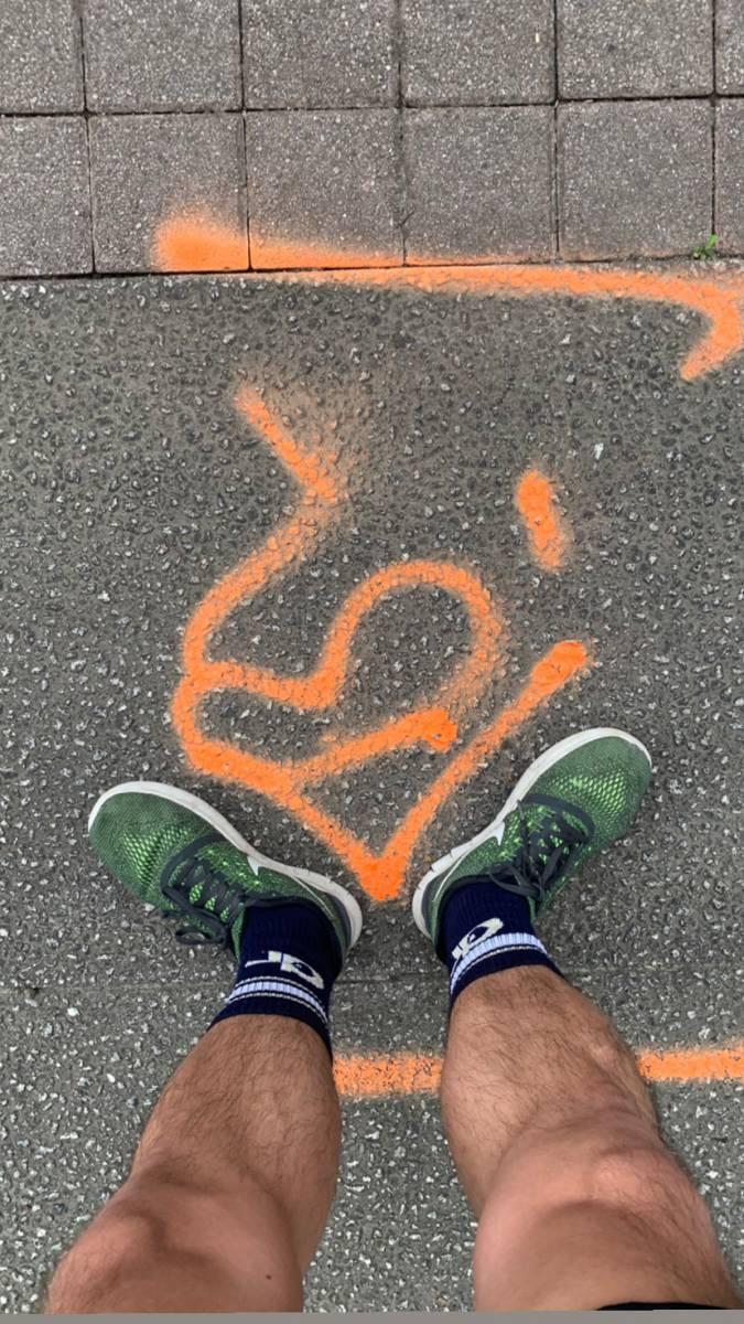 The Georgia Tech Community Treks the Virtual Pi Mile